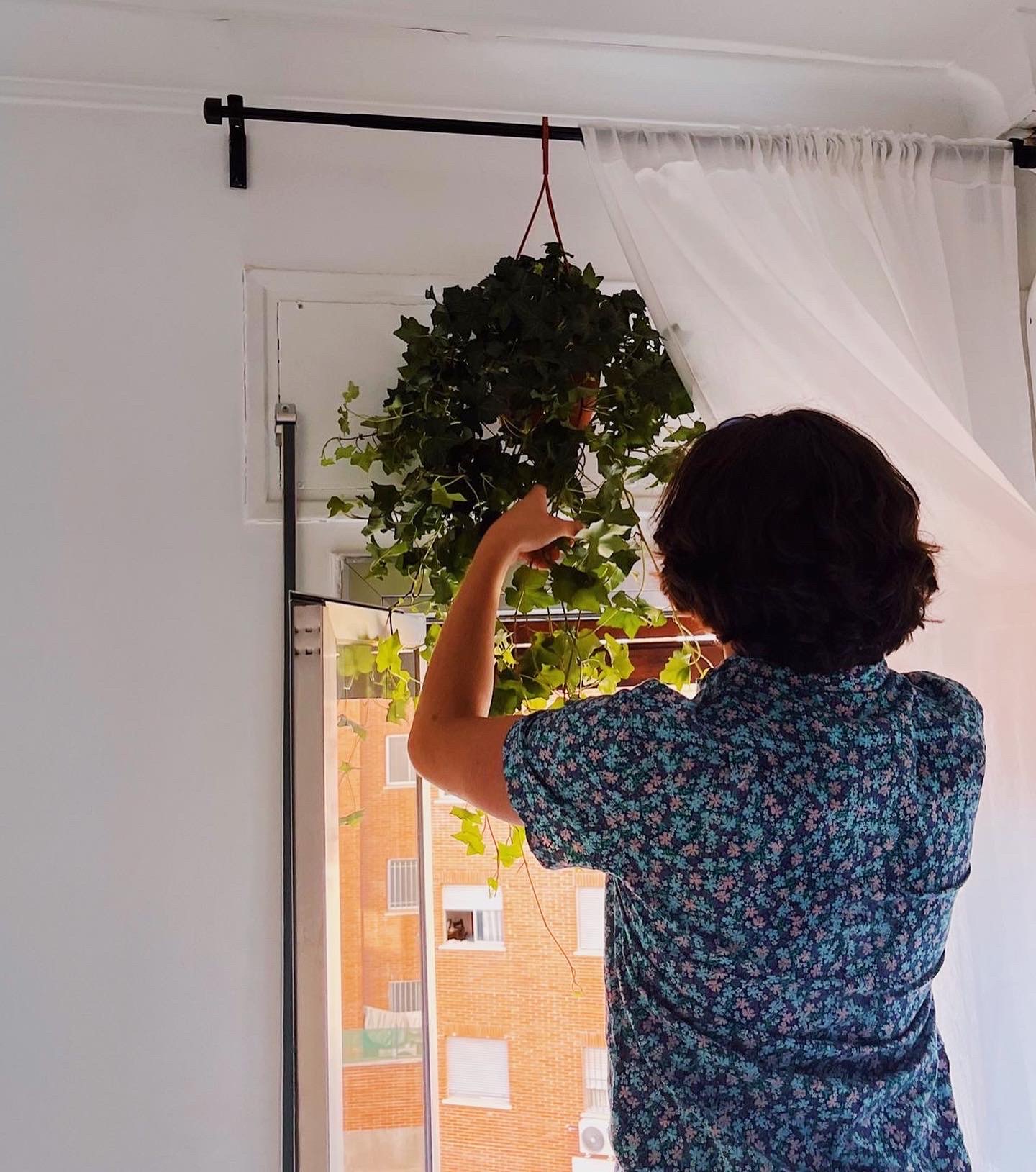 How to Grow Your Very Own Dorm Room Garden – The Spectrum Newspaper